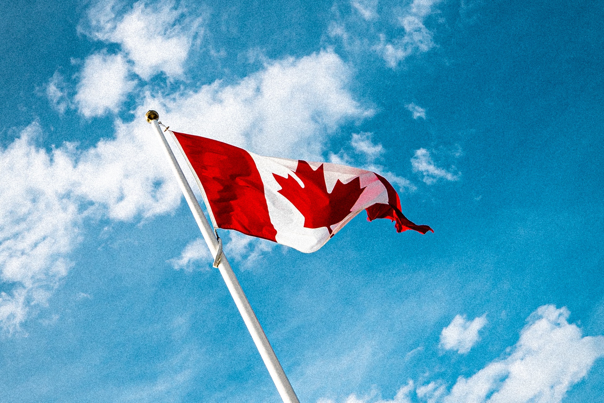 McCall MacBain Canadá 2025: Beca Completa Internacional | Becas para ...