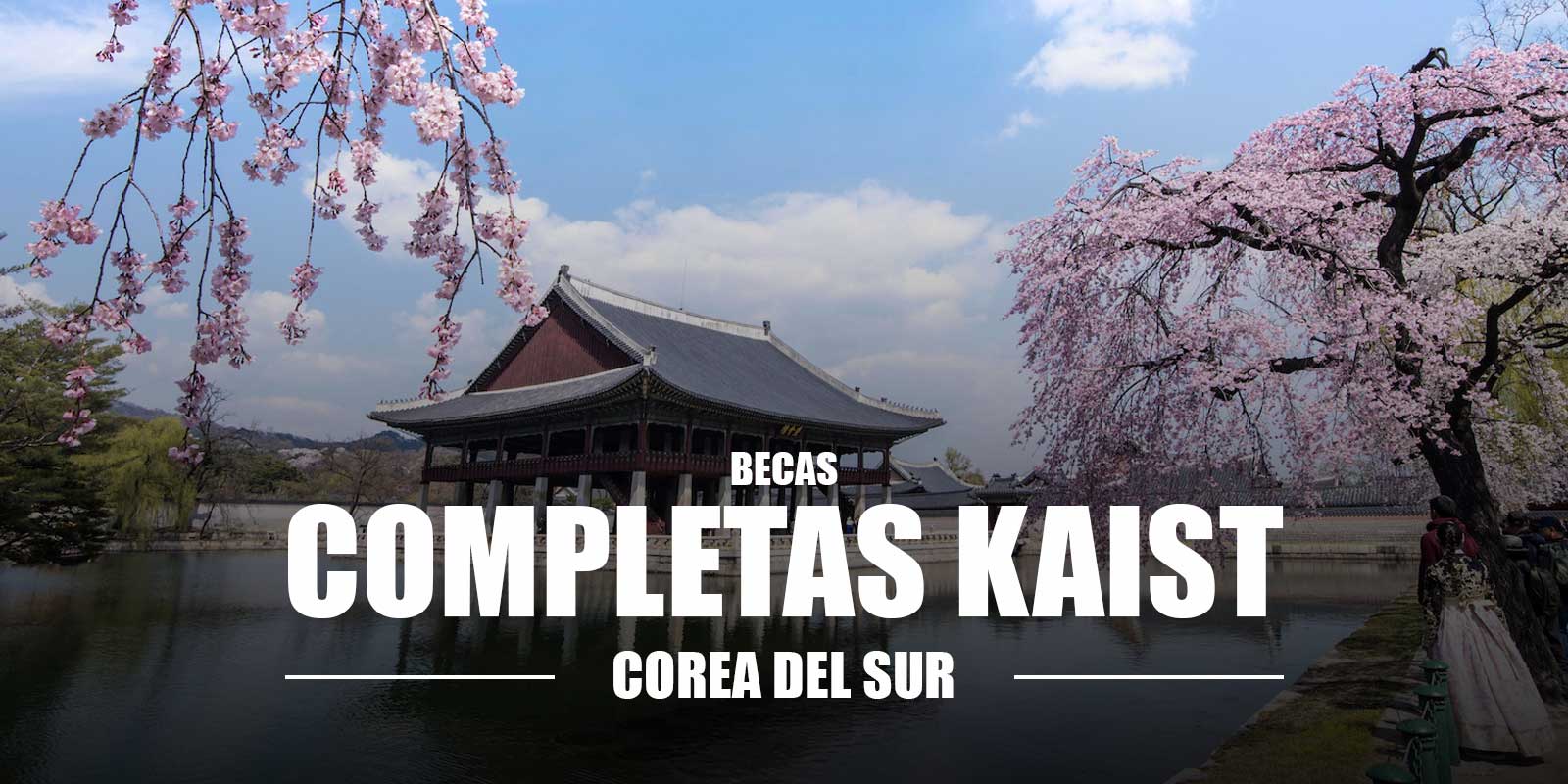 Beca Completa SNU en Corea del Sur Para Latinos 2025 | Becas para Latinos