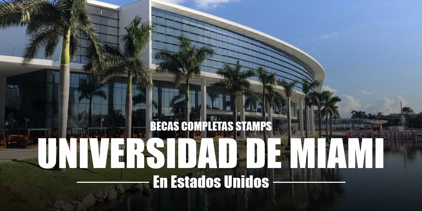 Las 10 Mejores Becas para Estudiar en Estados Unidos【2025】 | Becas para Latinos