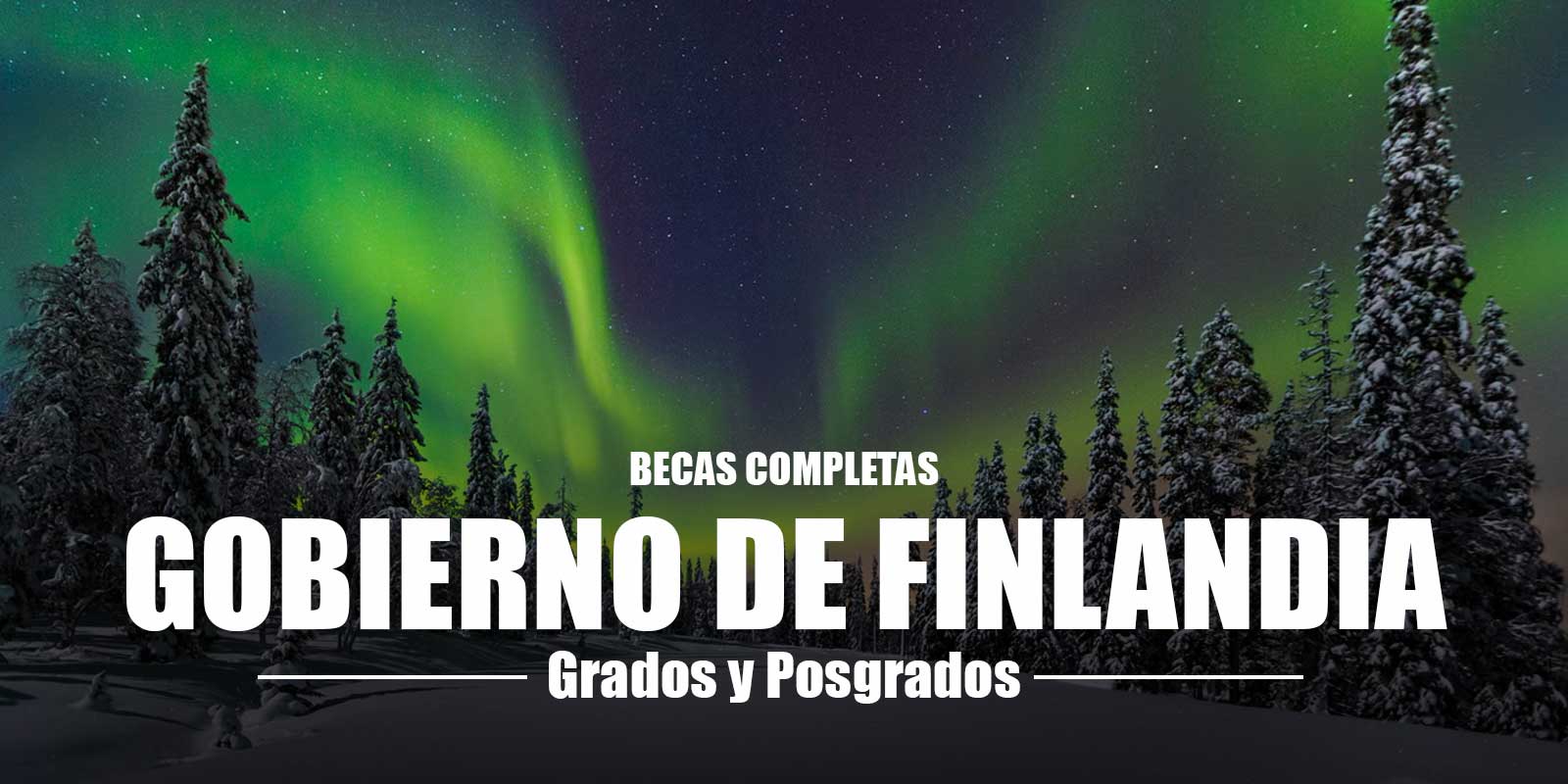 Becas Completas del Gobierno de Finlandia | Becas Para Latinos